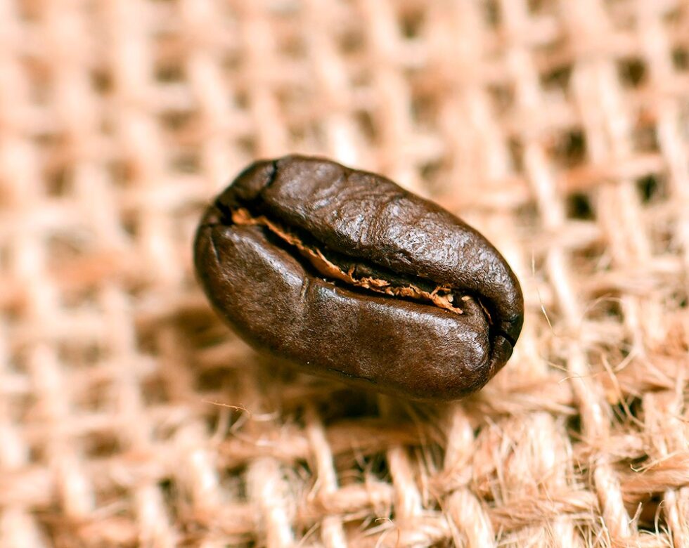 Extracting the perfect coffee flavour | Woodland Coffee